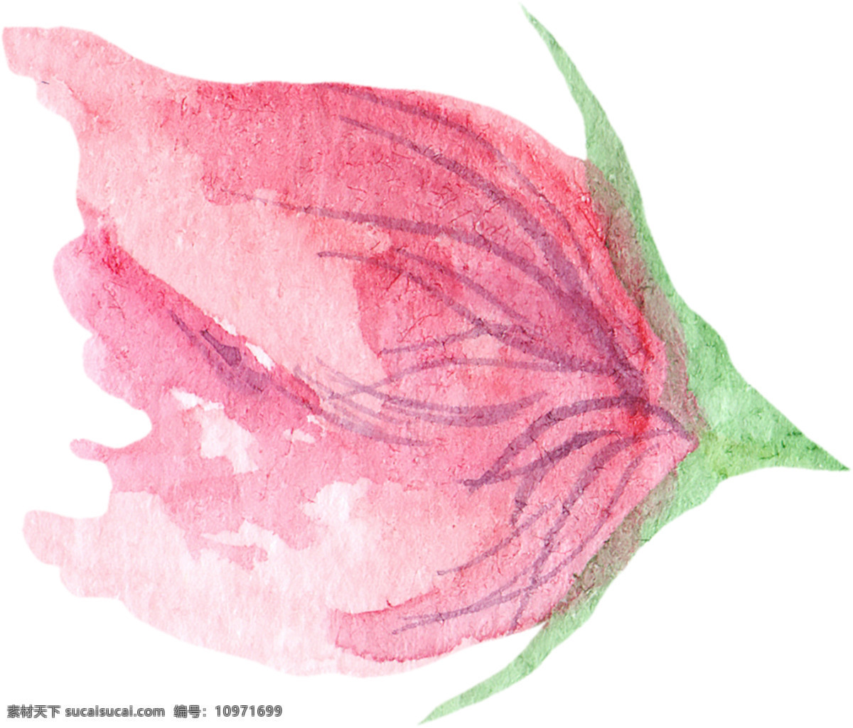 一朵绚丽花朵图片素材图片下载-素材编号10971699-素材天下图库